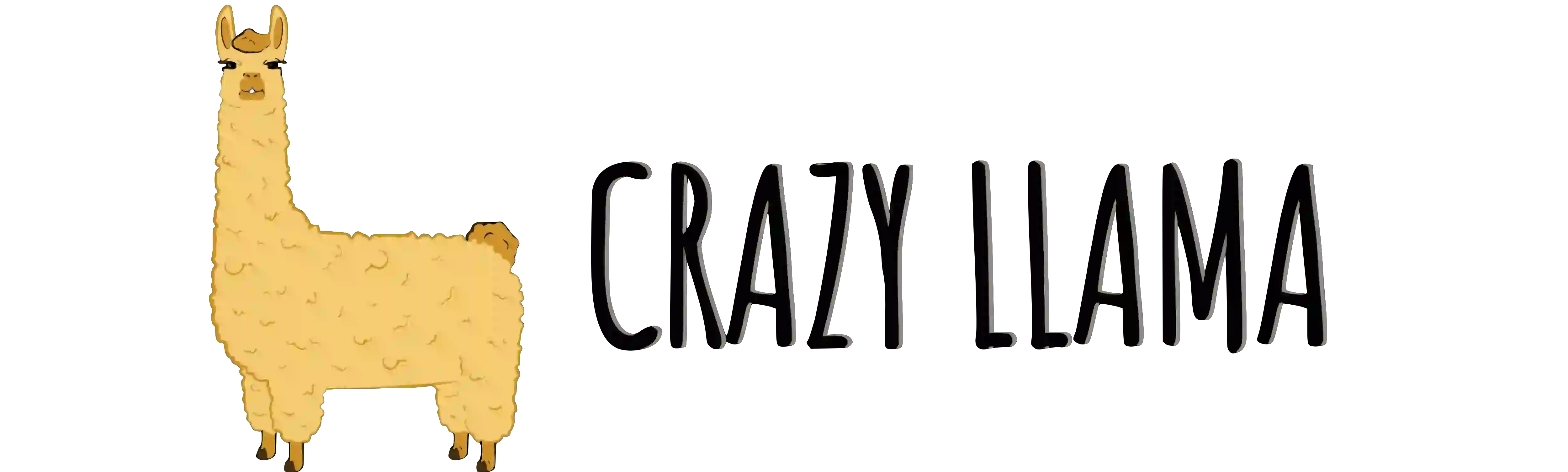 Crazy Llama - 世界で一番美しい双子の現在